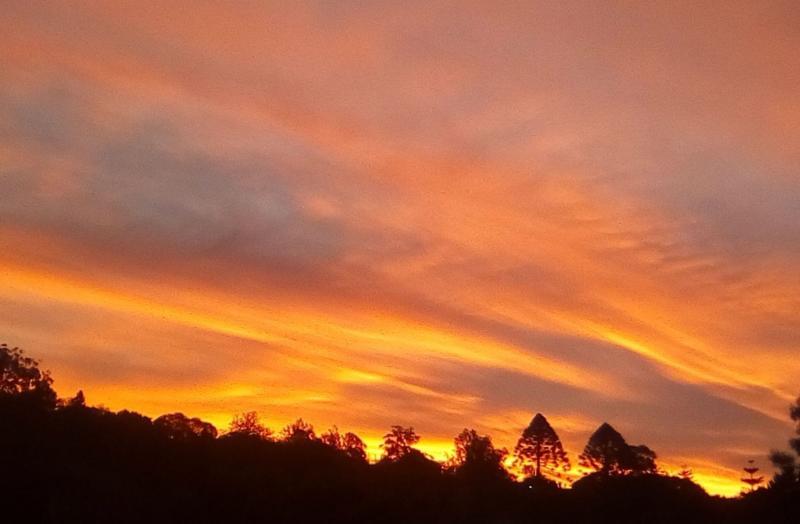 Grahamstown the city of saints, South Africa | Travelspiration